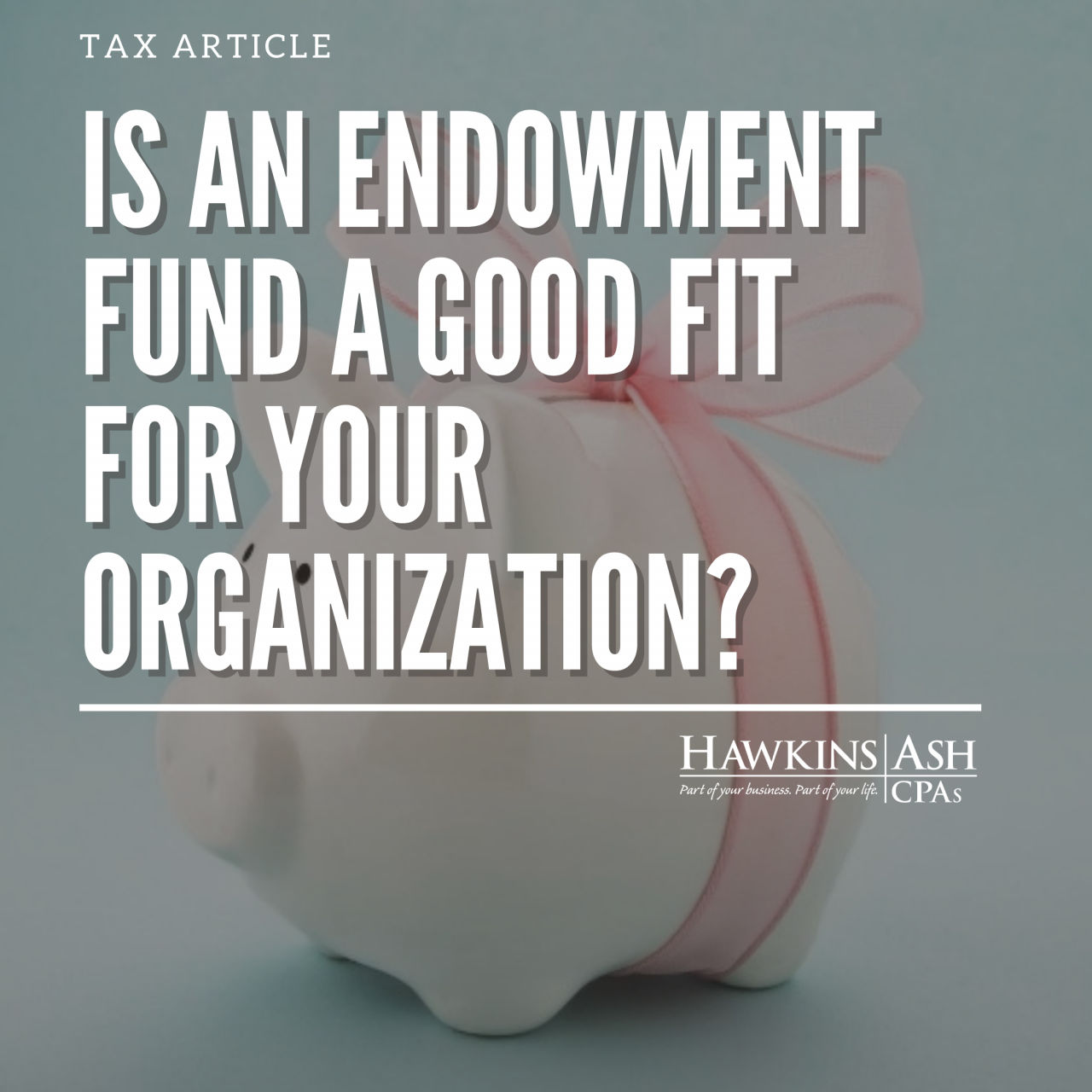 Is an Endowment Fund a Good Fit for Your Organization? - Hawkins Ash CPAs
